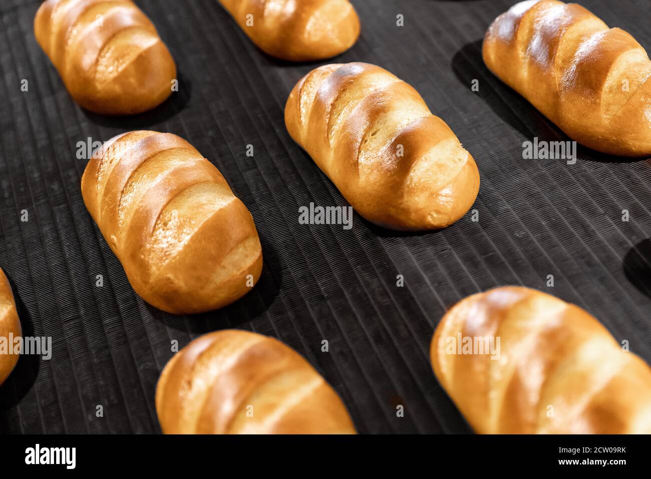 Fresh hot baked breads on automated production line bakery. Manufacture ...