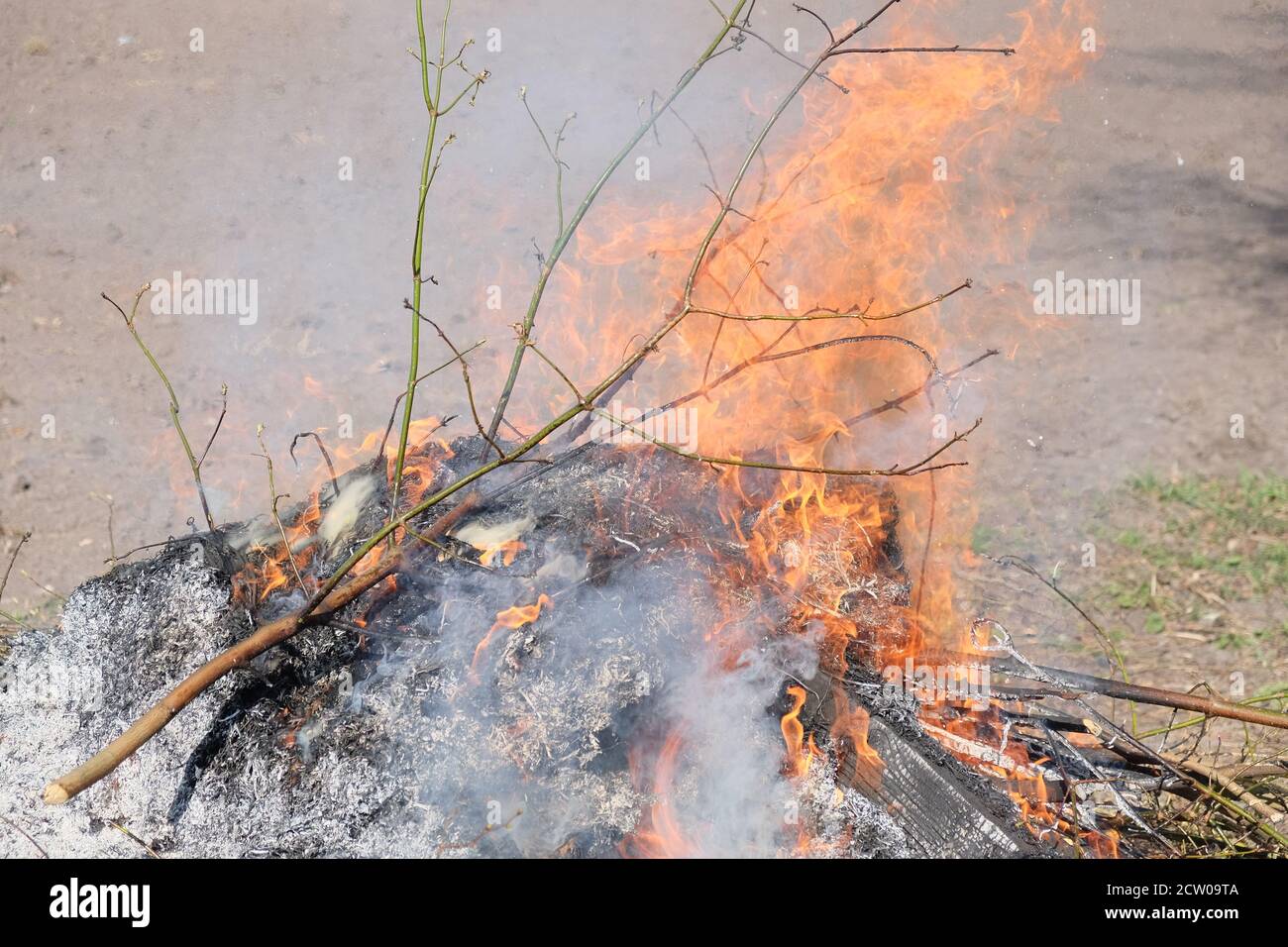 Big bonfire in the open air. A pile of ash from burnt boards and ...