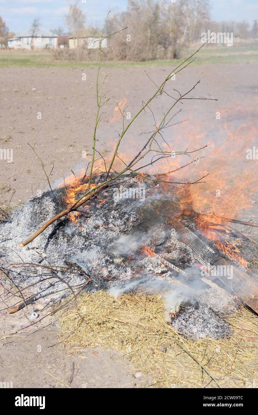 Big bonfire in the open air. A pile of ash from burnt boards and ...