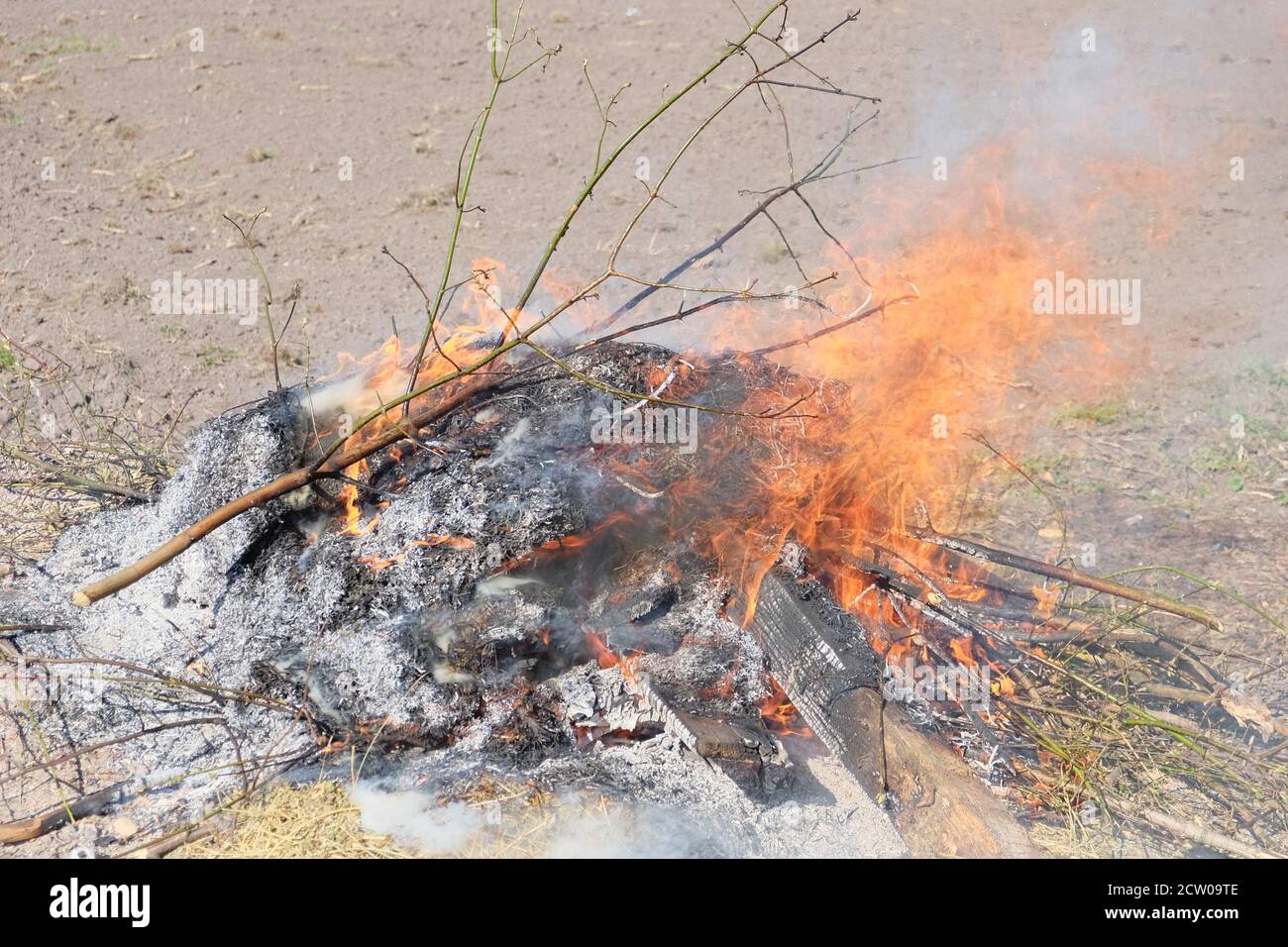 Big bonfire in the open air. A pile of ash from burnt boards and ...