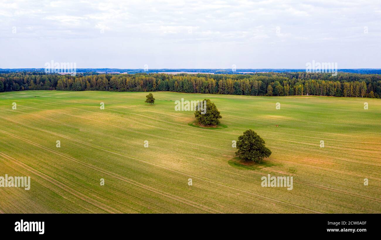 Crop striped top hi-res stock photography and images - Alamy