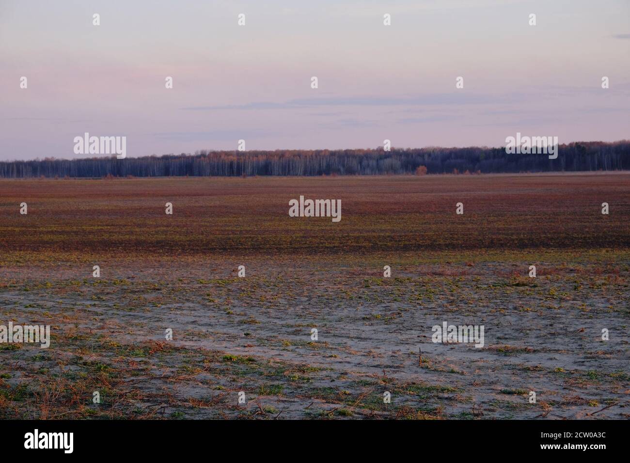 Plain landscape hi-res stock photography and images - Alamy