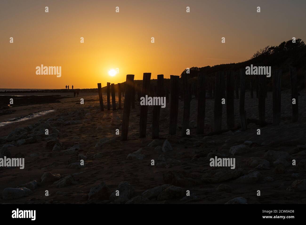 Backlight view hi-res stock photography and images - Alamy