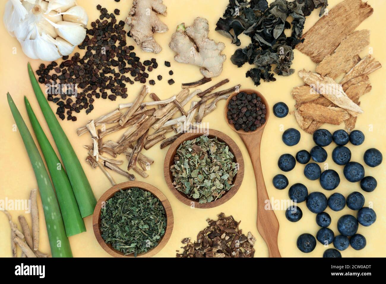 Adaptogen herbal medicine & health food with natural plant based foods ...