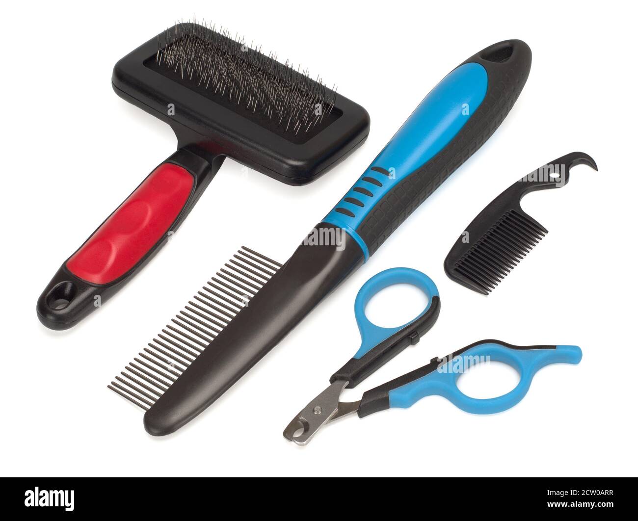 Close-up of a special veterinary tools for dogs and cats combing and ...