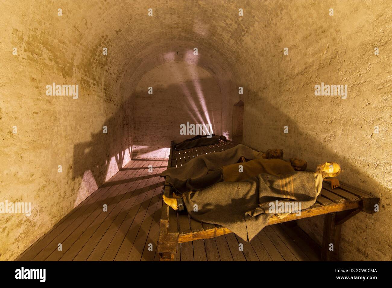 Sleeping cell hi-res stock photography and images - Alamy