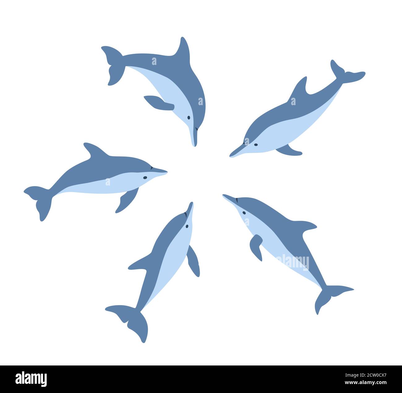 Five dolphins in a circle look at one place. Isolated vector ...