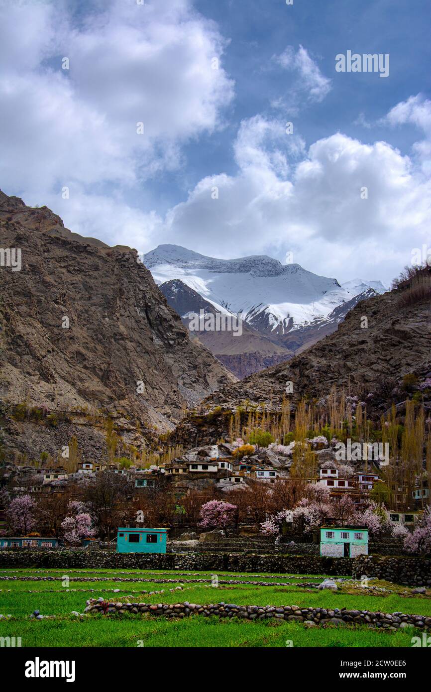 spring landscape photography of cherry blossom in northern areas of ...