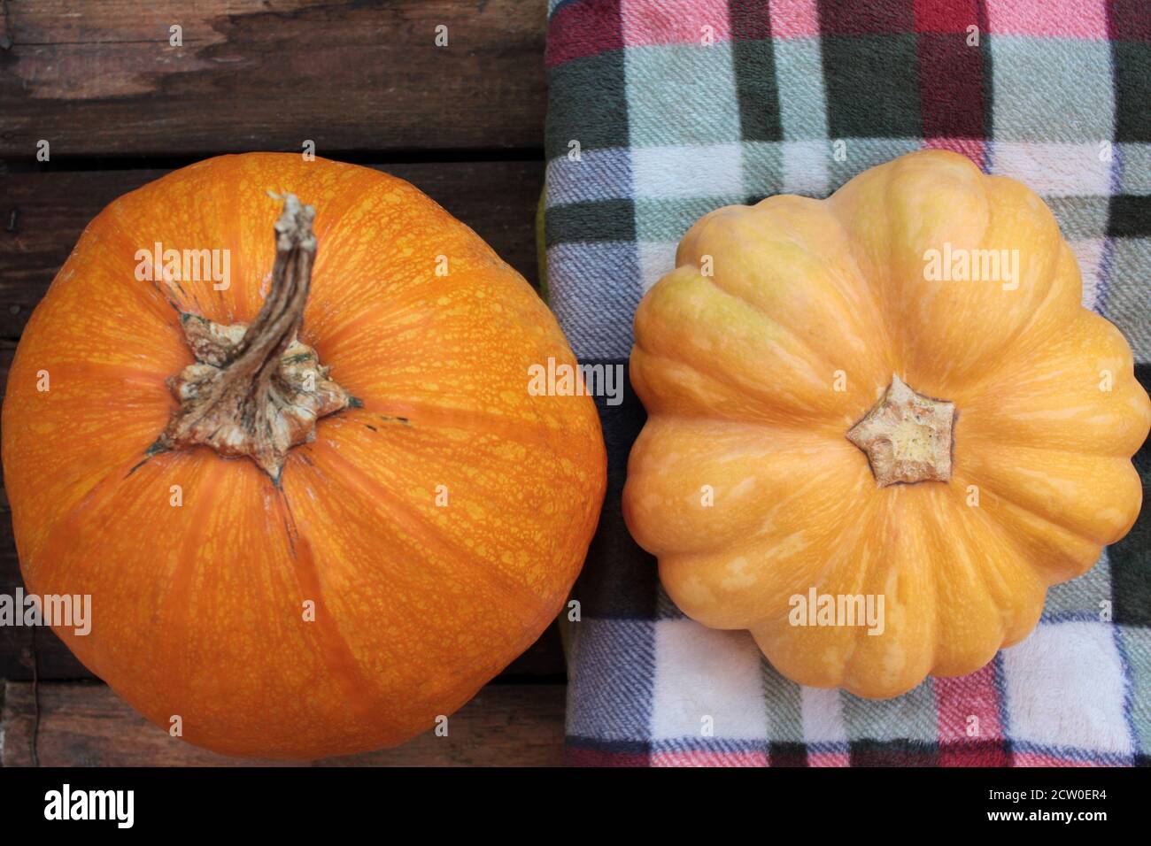 Pumpkin on a stack of folded checkered plaids in the autumn garden ...