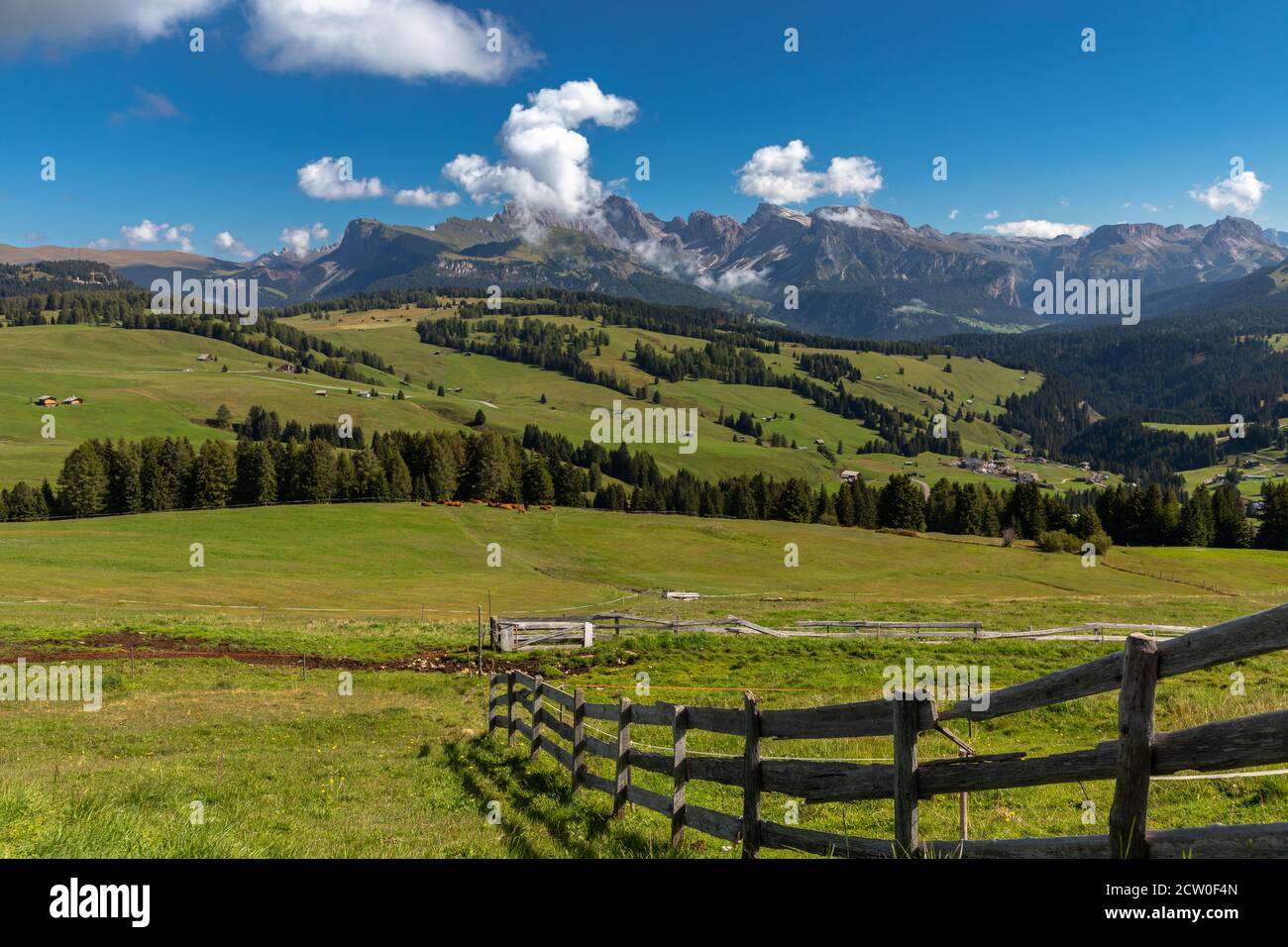 View over Seiser Alm, Alpe di Siusi, South Tyrol Stock Photo - Alamy