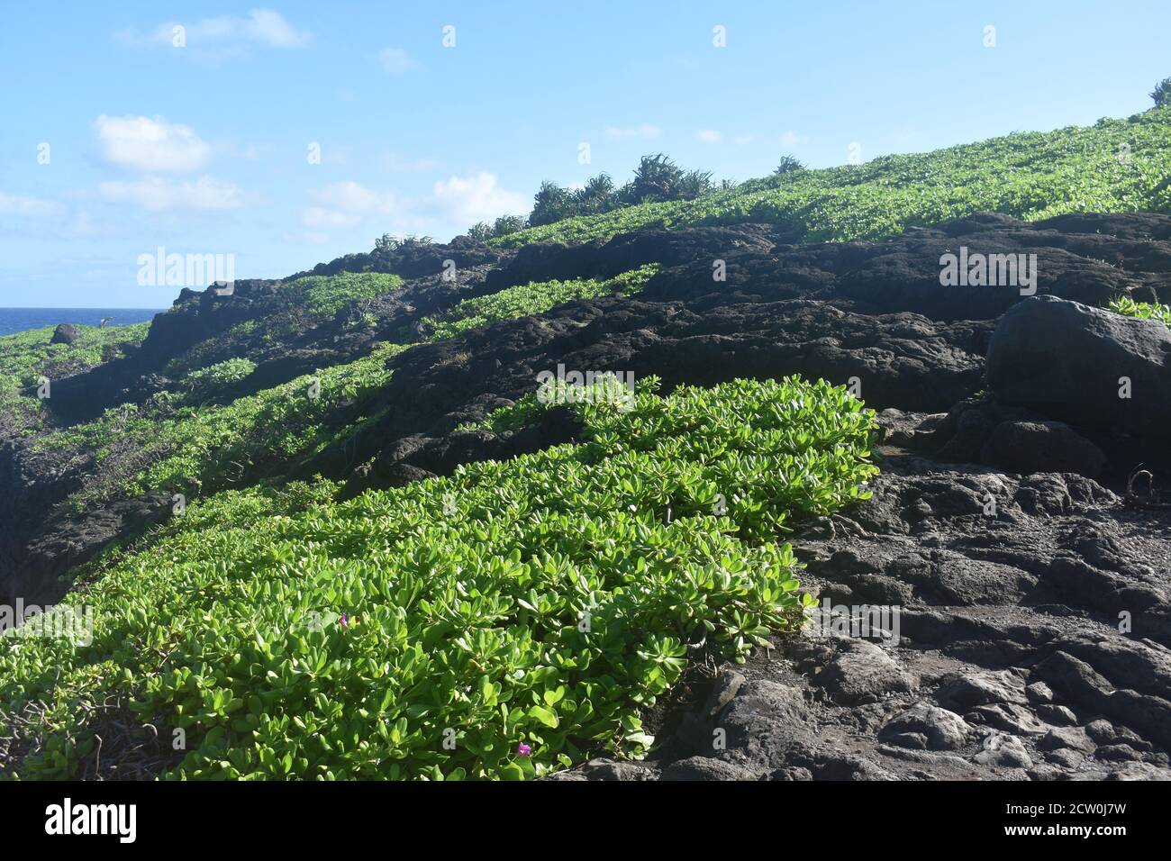 Shot of the picturesque nature of Maui island, the Hawaiian islands ...