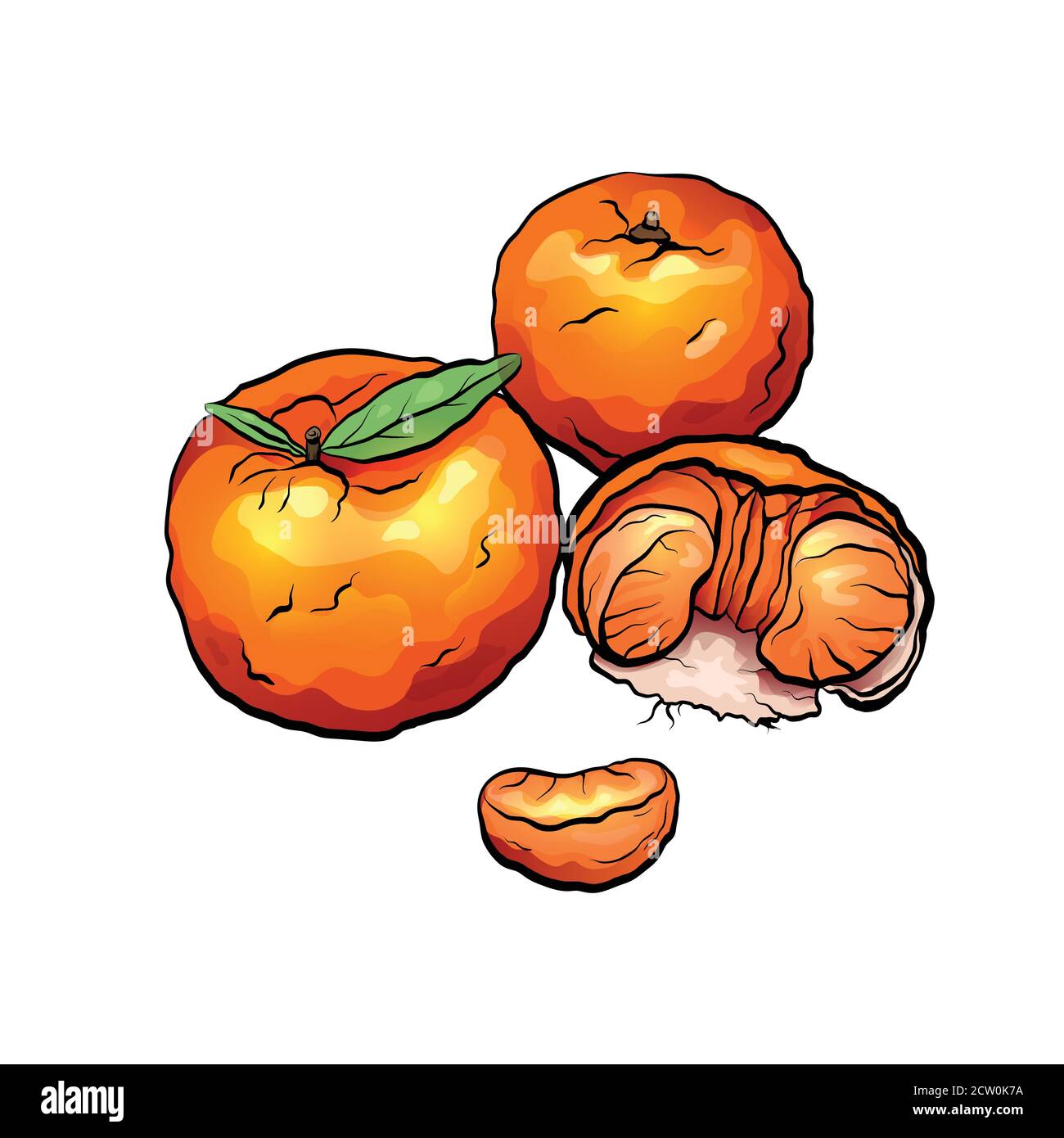 Color cartoon illustrations of mandarin and citrus The object is ...