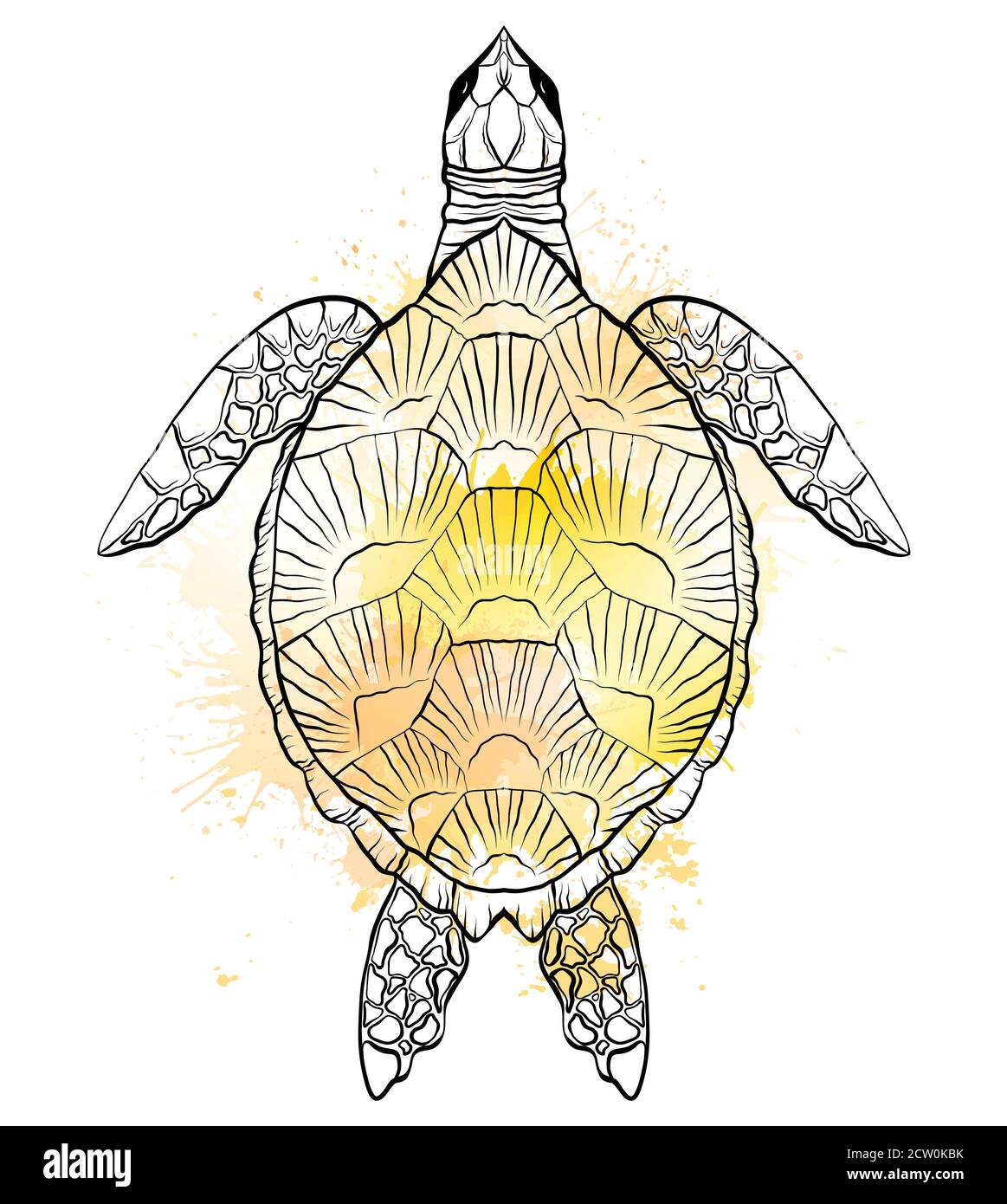 Contour black and white illustration of turtle with yellow watercolor ...