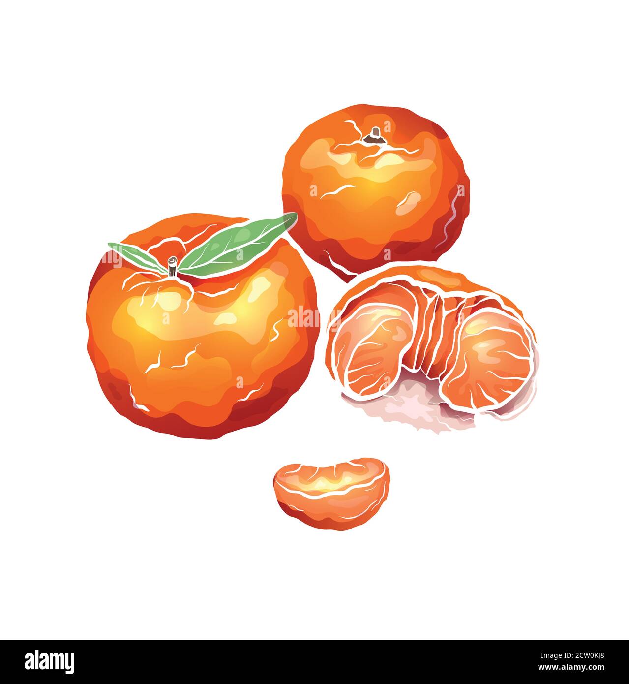 Color cartoon illustrations of mandarin and citrus The object is ...