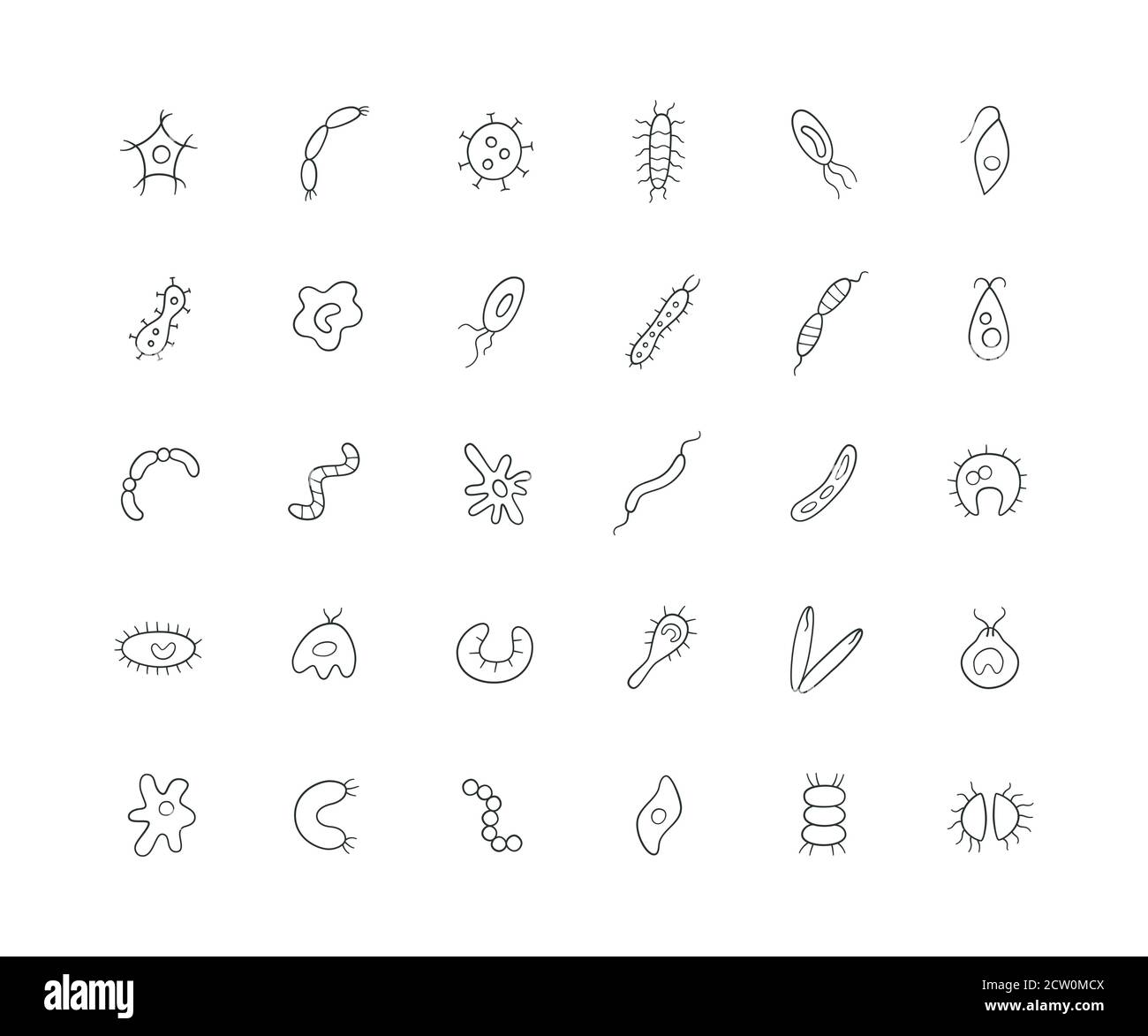 Coccus bacteria Cut Out Stock Images & Pictures - Alamy