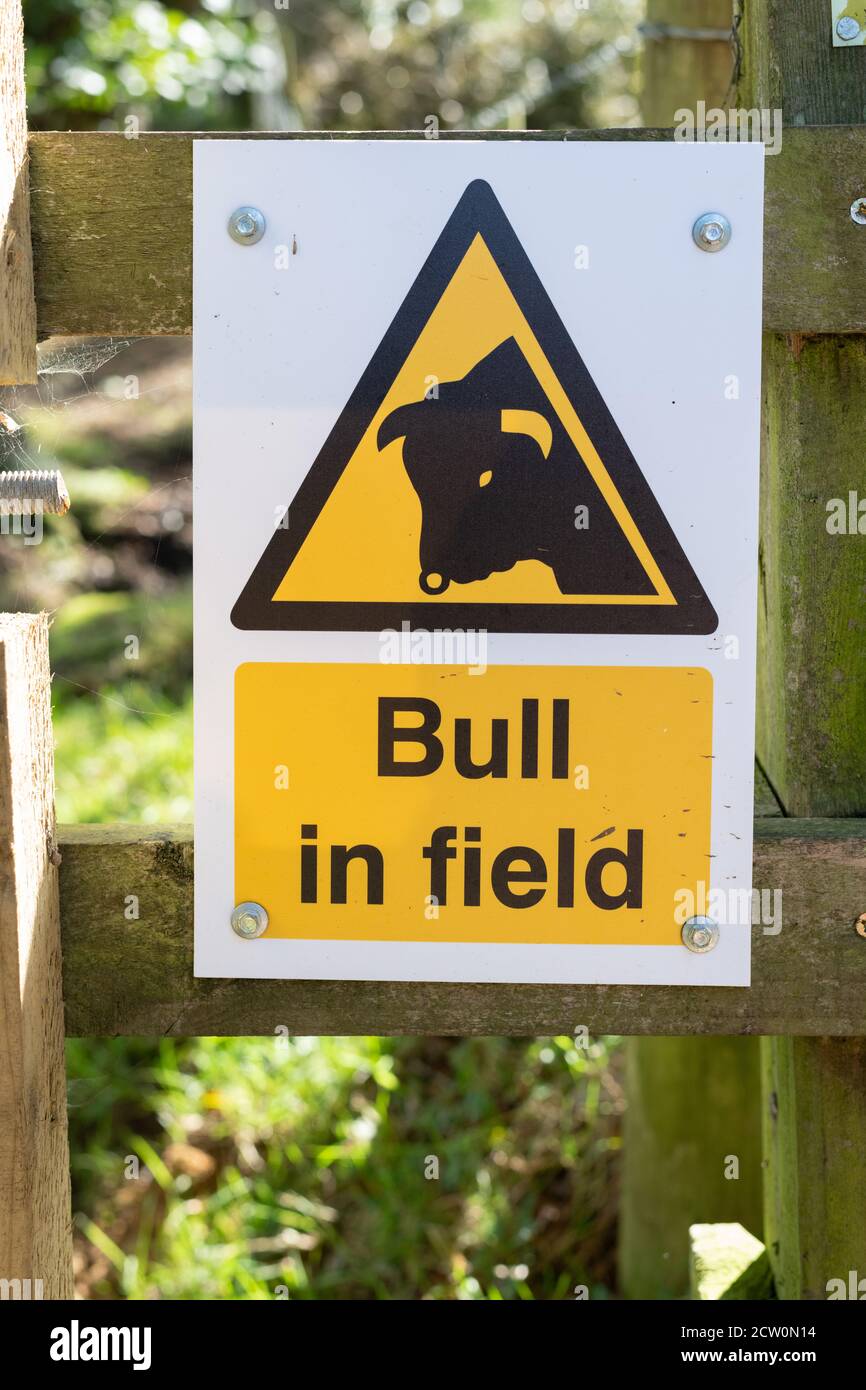 Bull in Field warning sign - UK Stock Photo - Alamy
