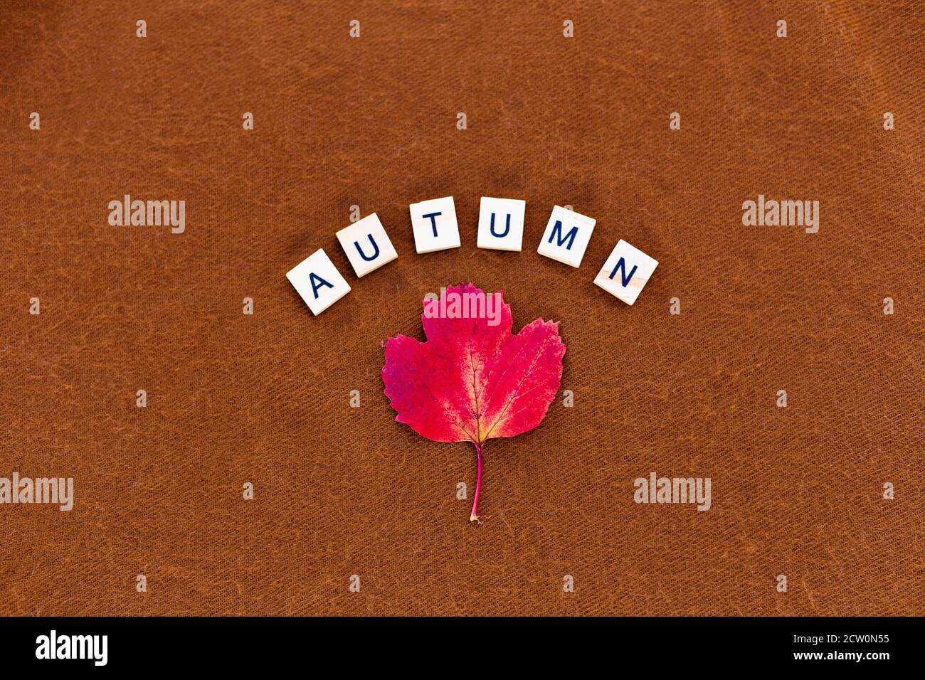 A red sheet and the words AUTUMN lie on a BROWN background. Words are ...