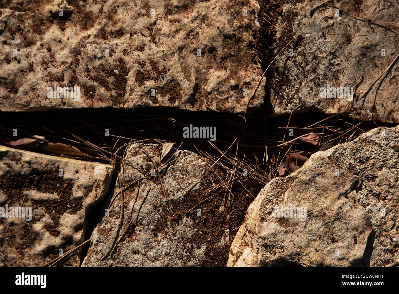 Pattern ground, stones and natural motif, leaf structure and texture ...