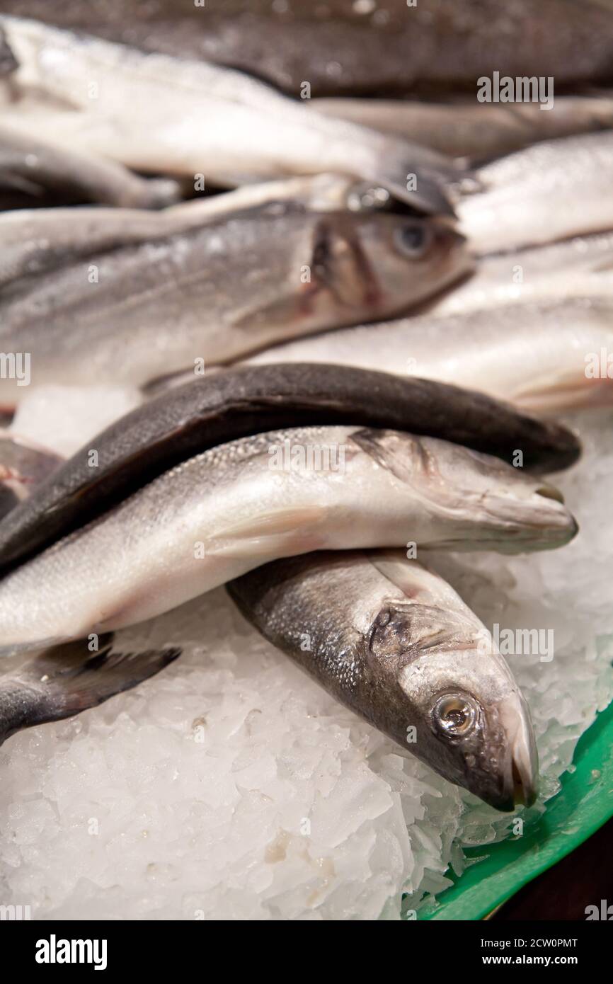 Vertical shot of fresh fish on ice at a Spanish fish market Stock Photo ...