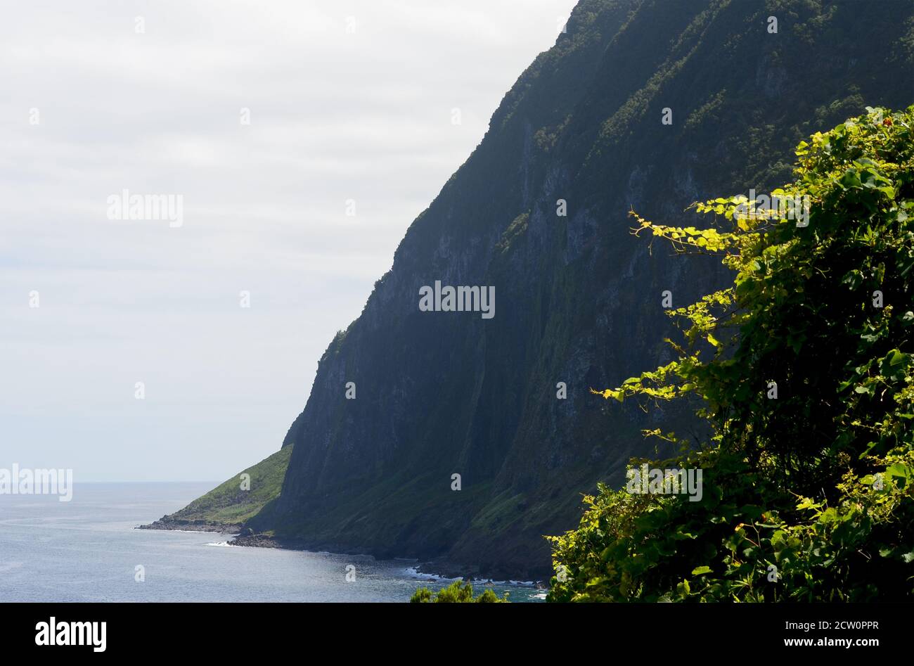 steep sea cliffs in the Fajãs de São Jorge Biosphere Reserve, Sao Jorge ...