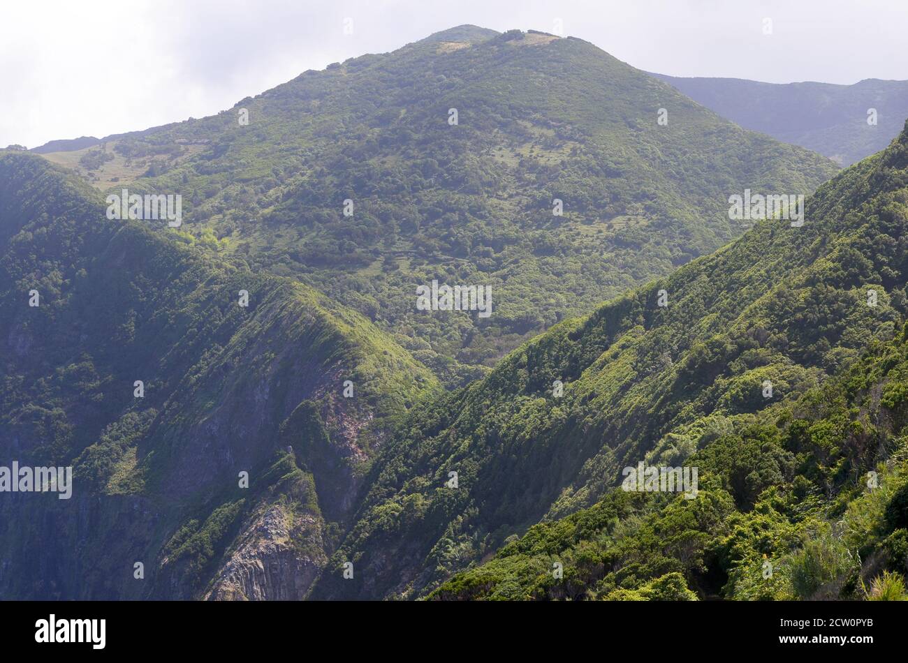 steep sea cliffs in the Fajãs de São Jorge Biosphere Reserve, Sao Jorge ...