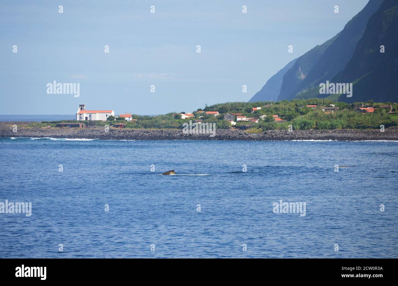 steep sea cliffs in the Fajãs de São Jorge Biosphere Reserve, Sao Jorge ...