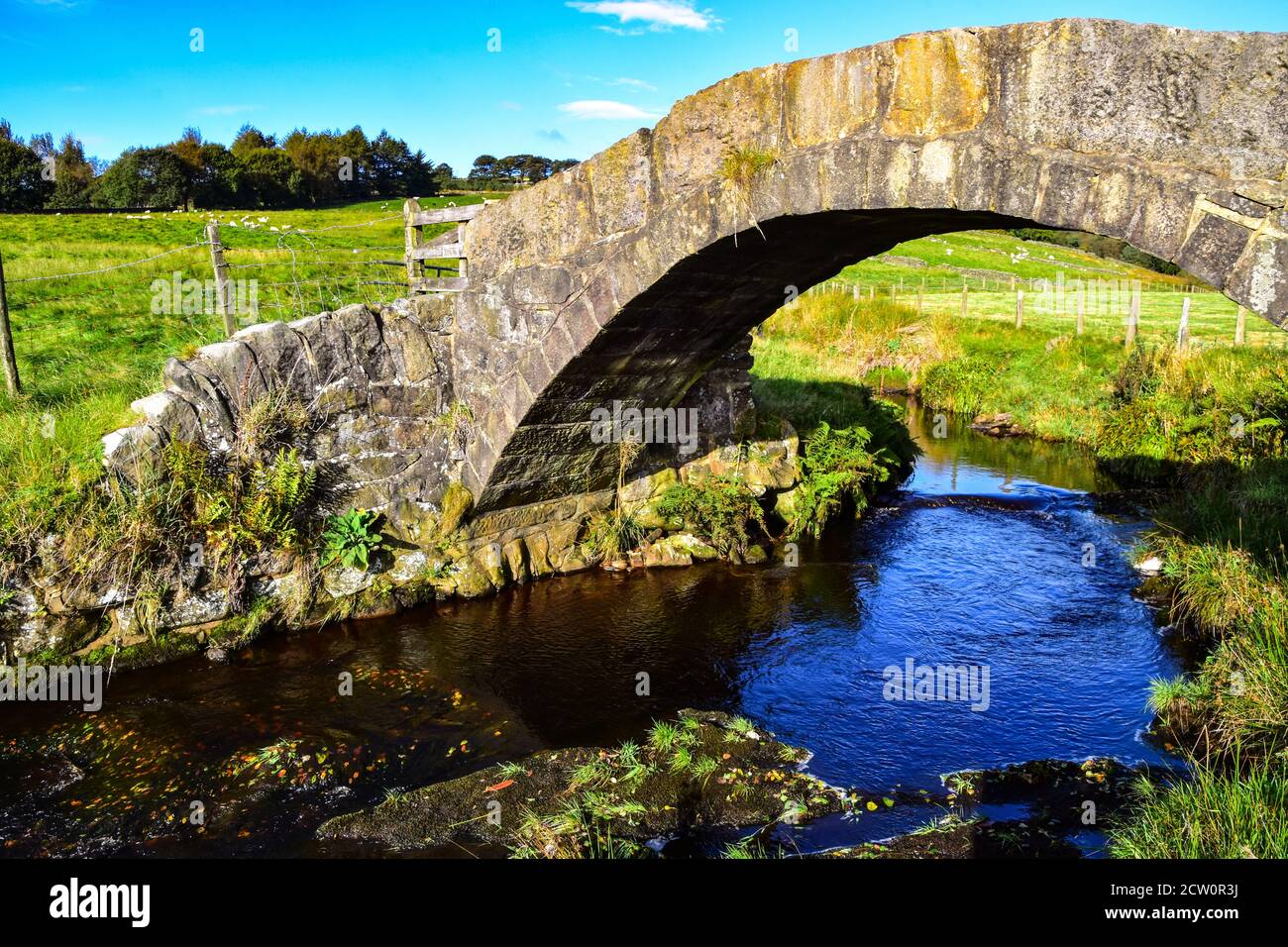 Strines Bridge, Colden Water, Jack Bridge, Pennines, Yorkshire Stock ...