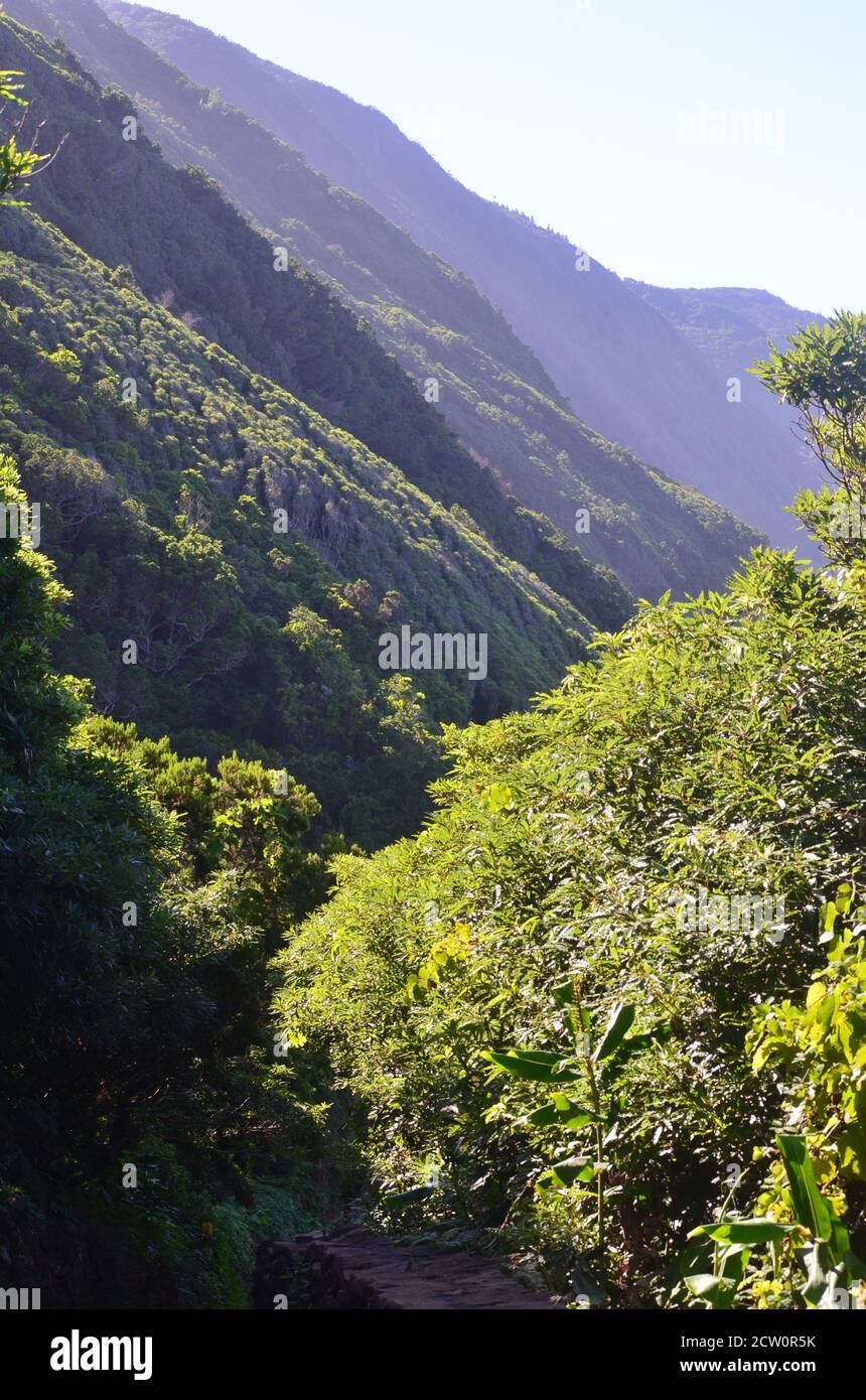 steep sea cliffs in the Fajãs de São Jorge Biosphere Reserve, Sao Jorge ...