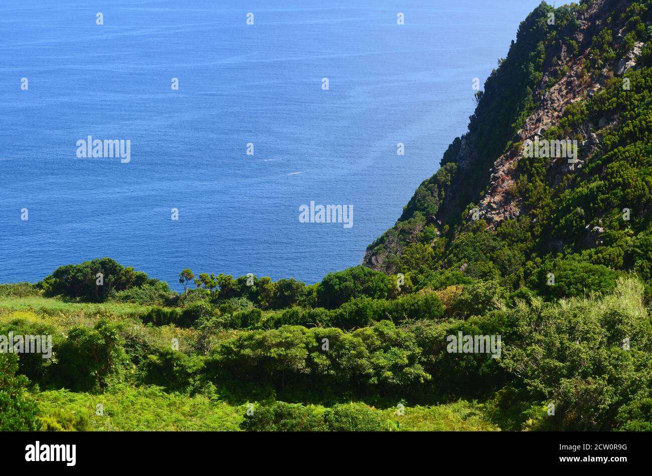 steep sea cliffs in the Fajãs de São Jorge Biosphere Reserve, Sao Jorge ...
