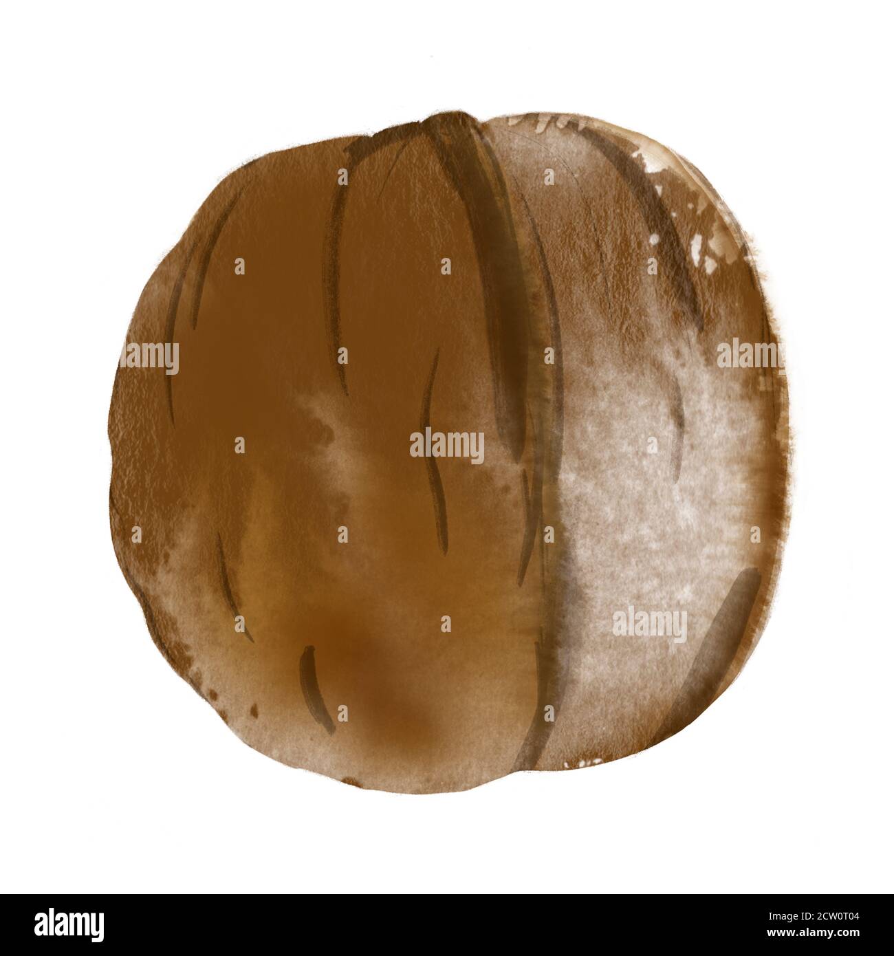 Walnut drawing hi-res stock photography and images - Alamy