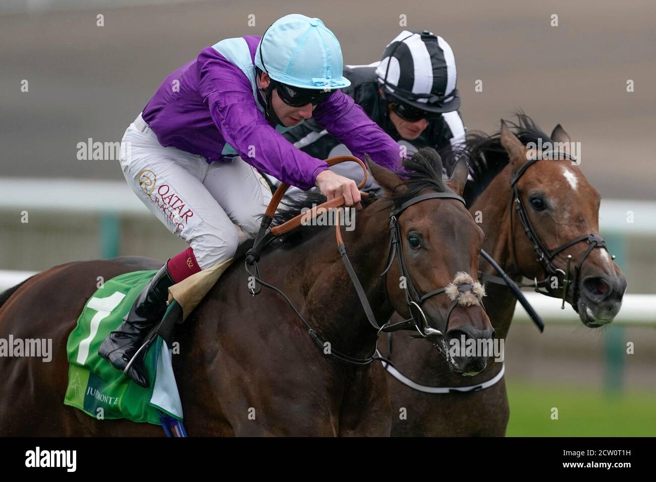 Alcohol free horse hi-res stock photography and images - Alamy