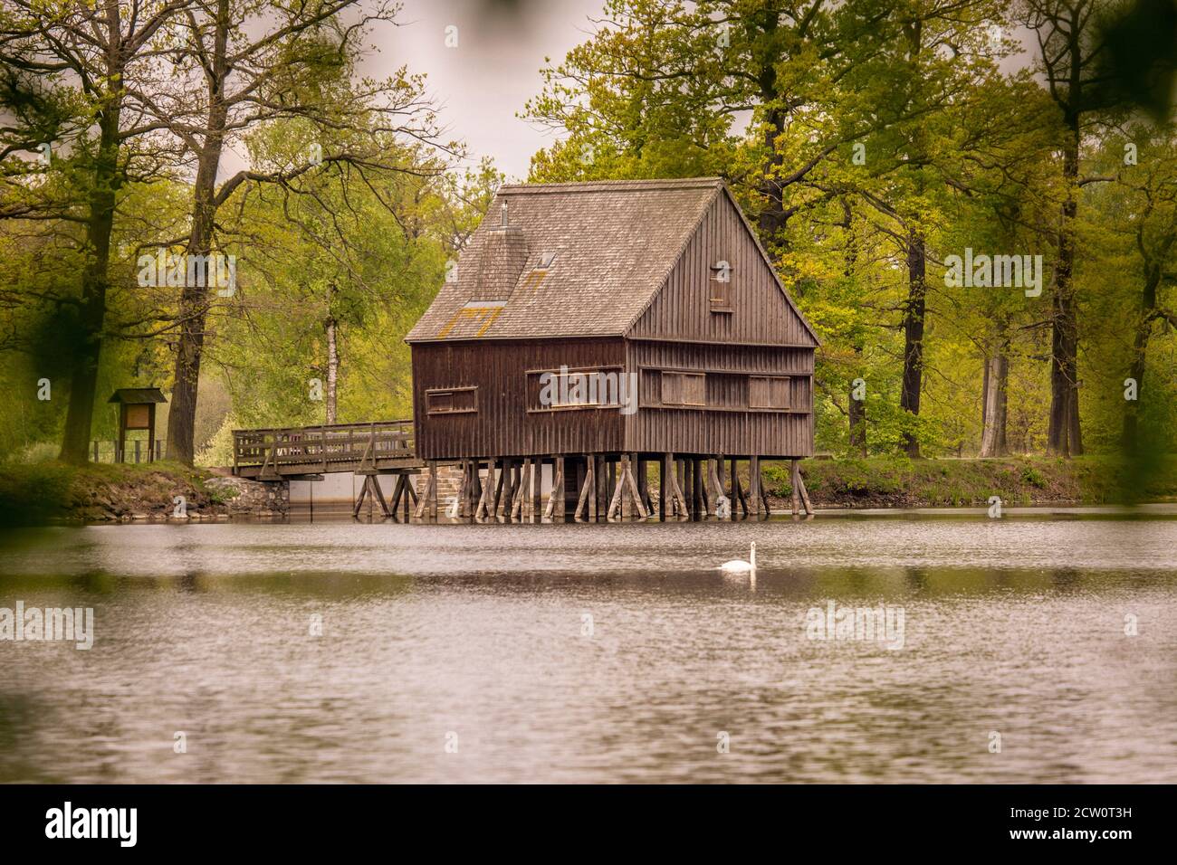 stilt house with wooden shingle coverved roof, surrounded by deciduous ...