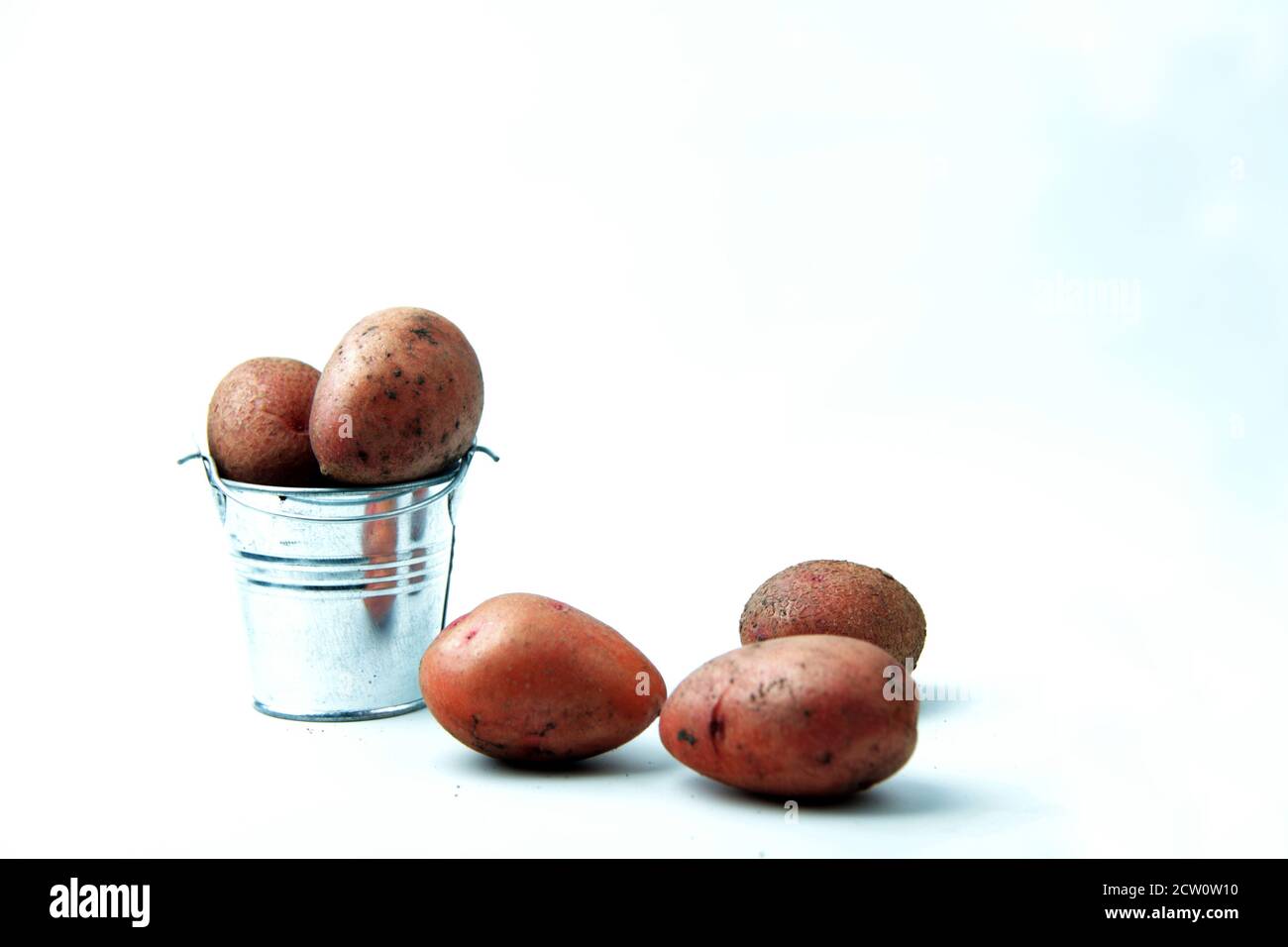 a bucket of potatoes isolated on white background. Agriculture concept ...
