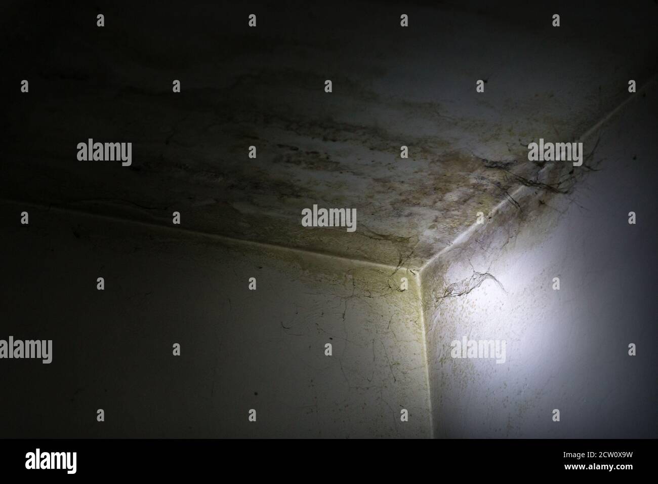damp spots in the ceiling caused by water infiltration Stock Photo - Alamy
