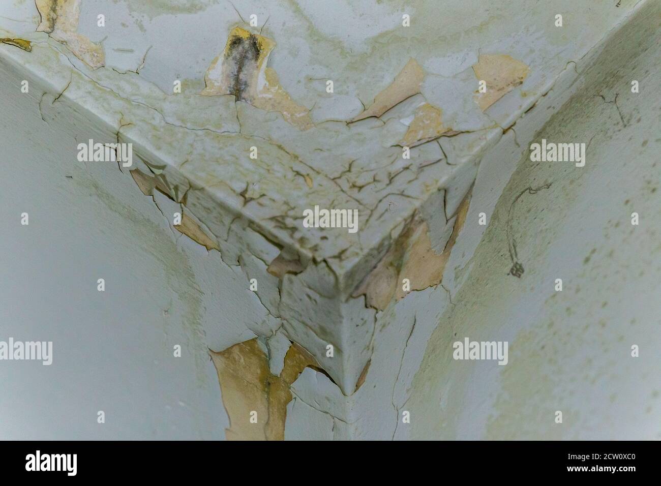 damp spots in the ceiling caused by water infiltration Stock Photo - Alamy