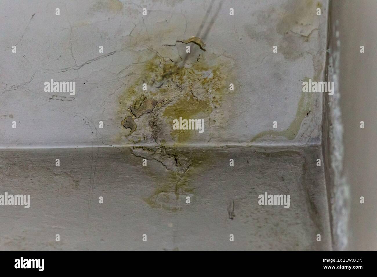 damp spots in the ceiling caused by water infiltration Stock Photo - Alamy