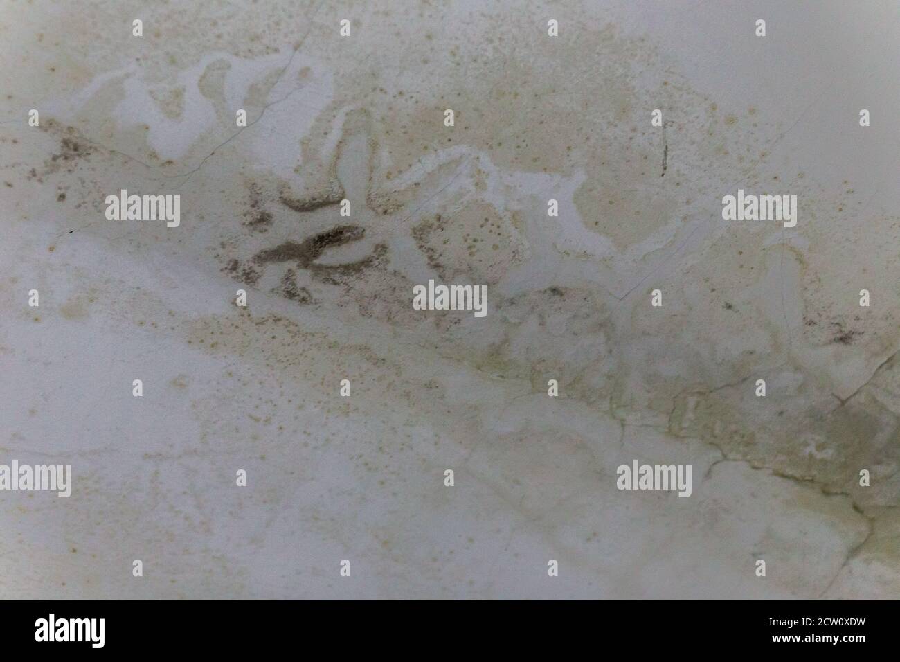 damp spots in the ceiling caused by water infiltration Stock Photo - Alamy