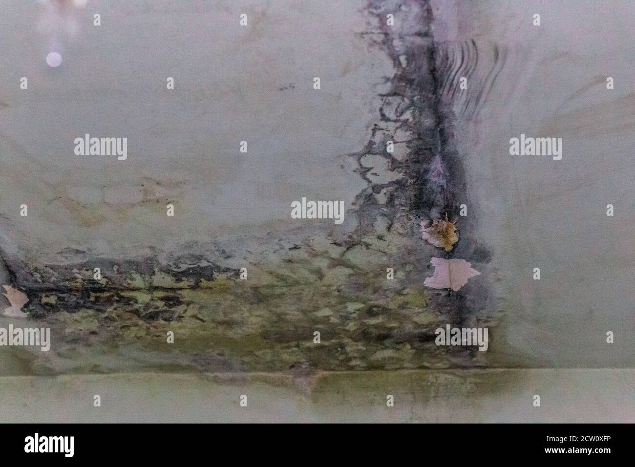 damp spots in the ceiling caused by water infiltration Stock Photo - Alamy