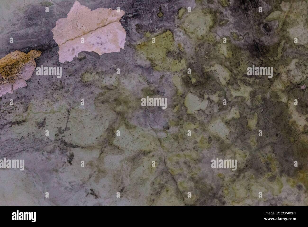 damp spots in the ceiling caused by water infiltration Stock Photo - Alamy