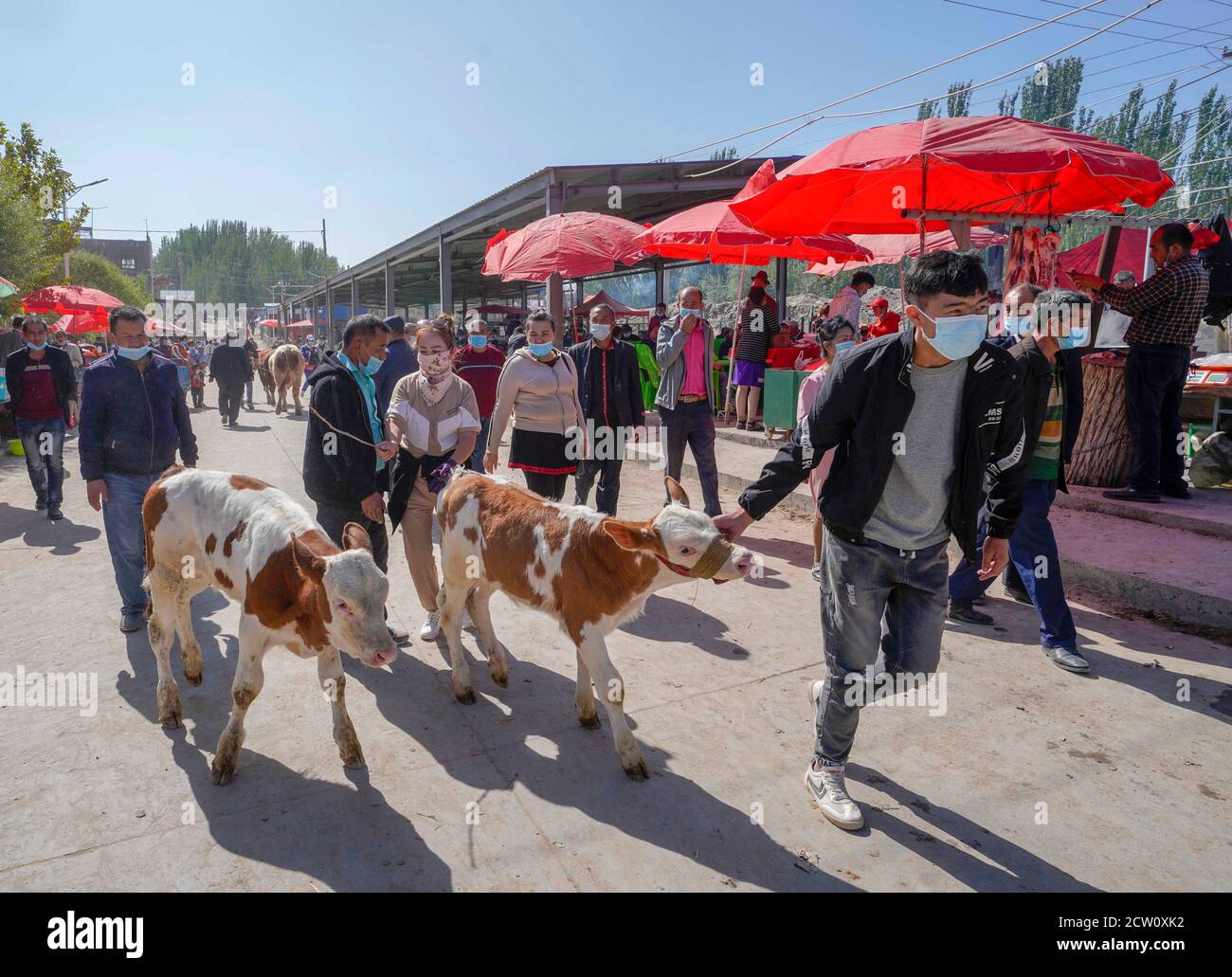 Shufu, China's Xinjiang Uygur Autonomous Region. 21st Sep, 2020. A ...