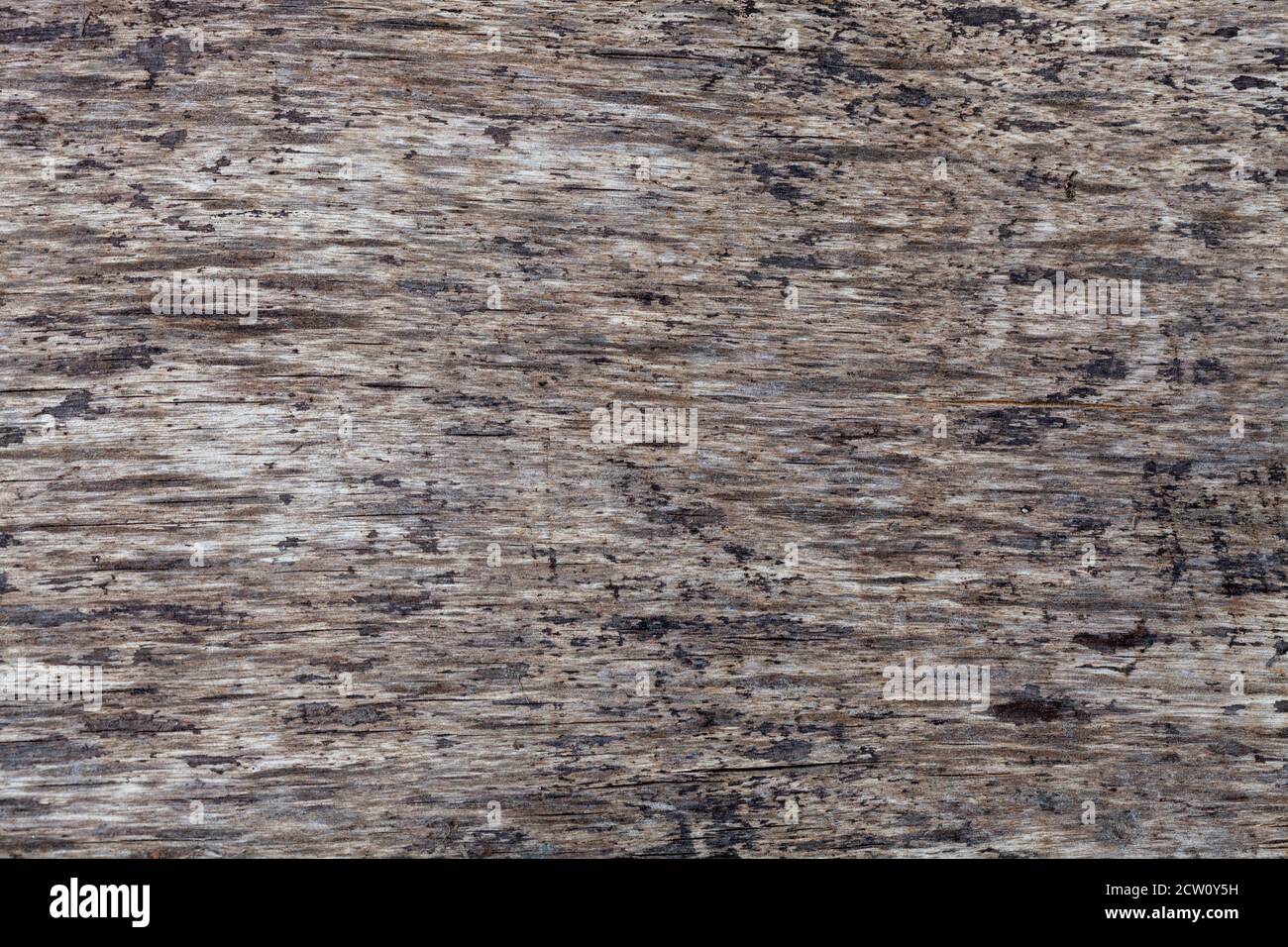 Old scratch hi-res stock photography and images - Alamy