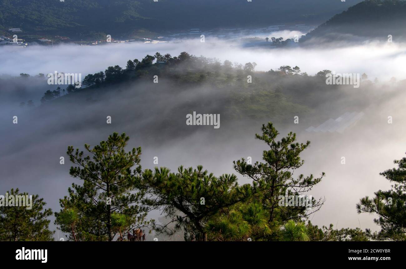 Da Lat cloudy season Stock Photo - Alamy