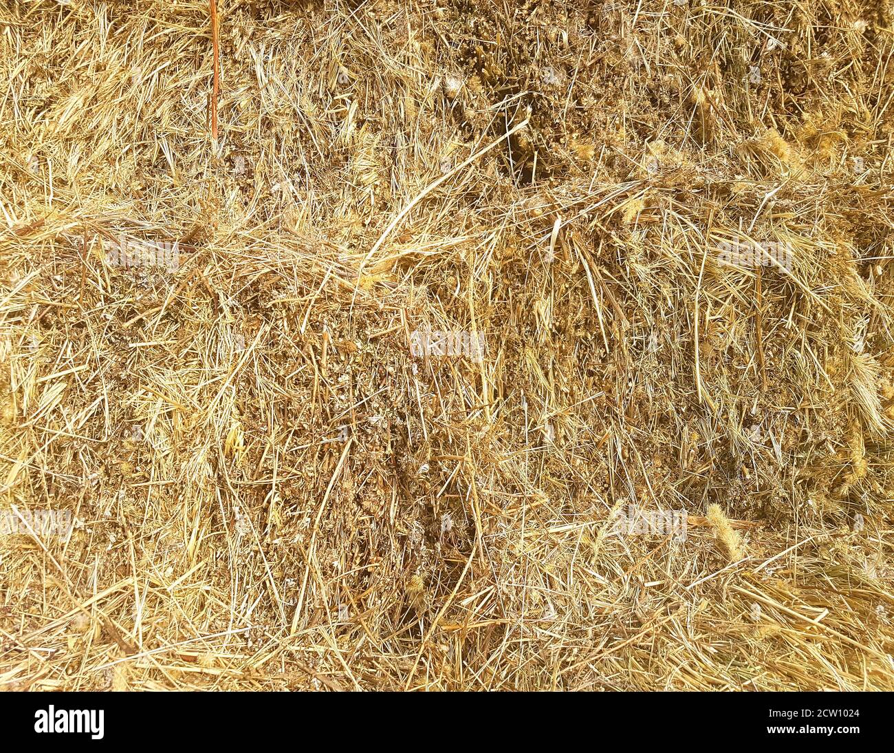 Hay bale art hi-res stock photography and images - Alamy