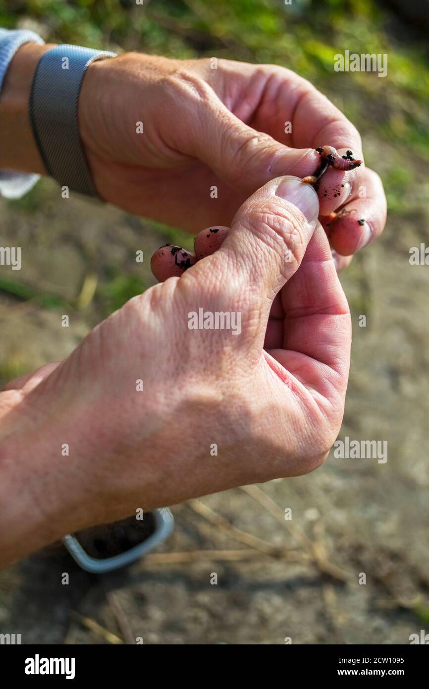 Threading hook hi-res stock photography and images - Alamy