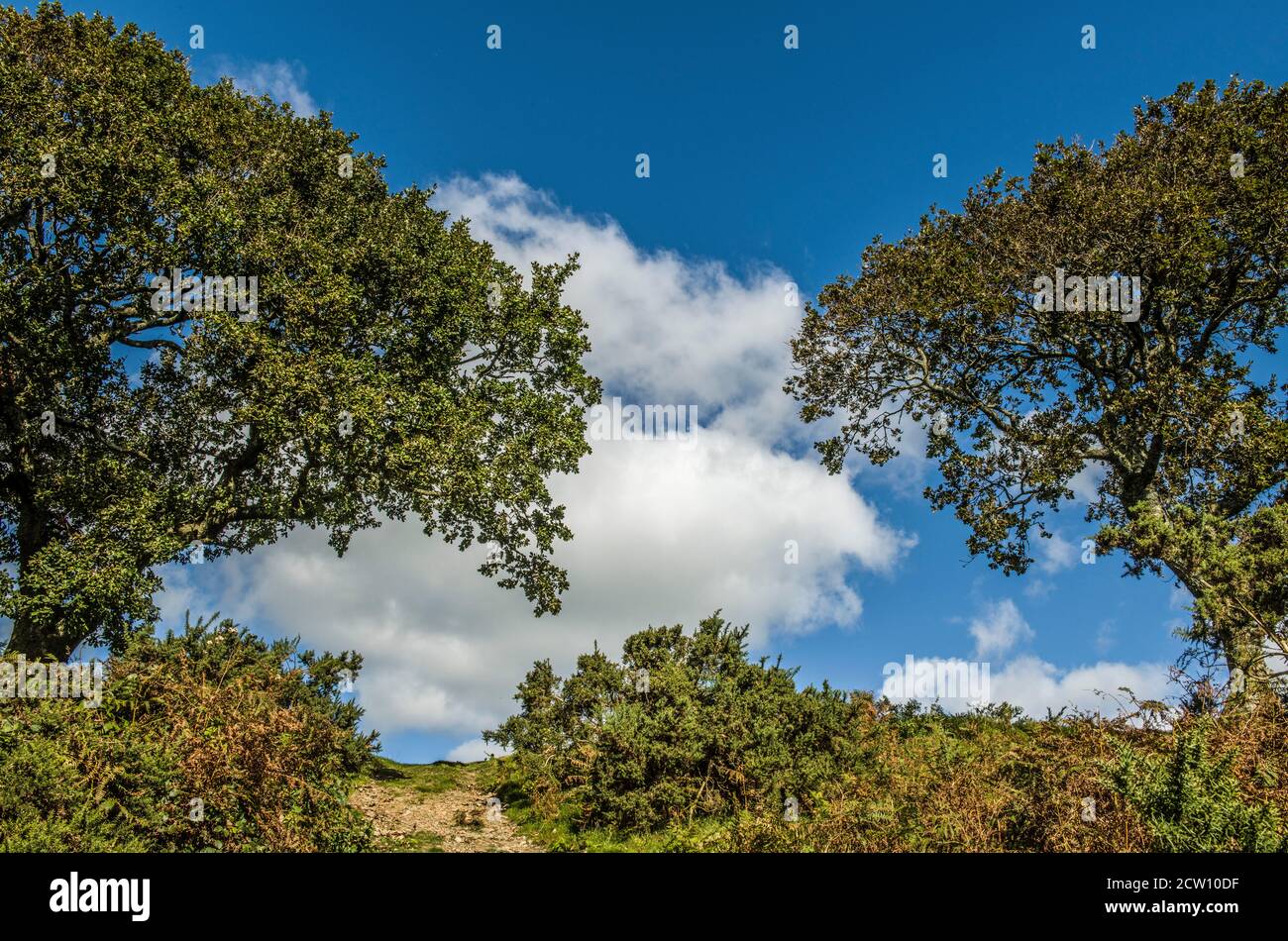 Rural scenes close to the Caerau Hillfort, above Rhiwsaeson, near ...