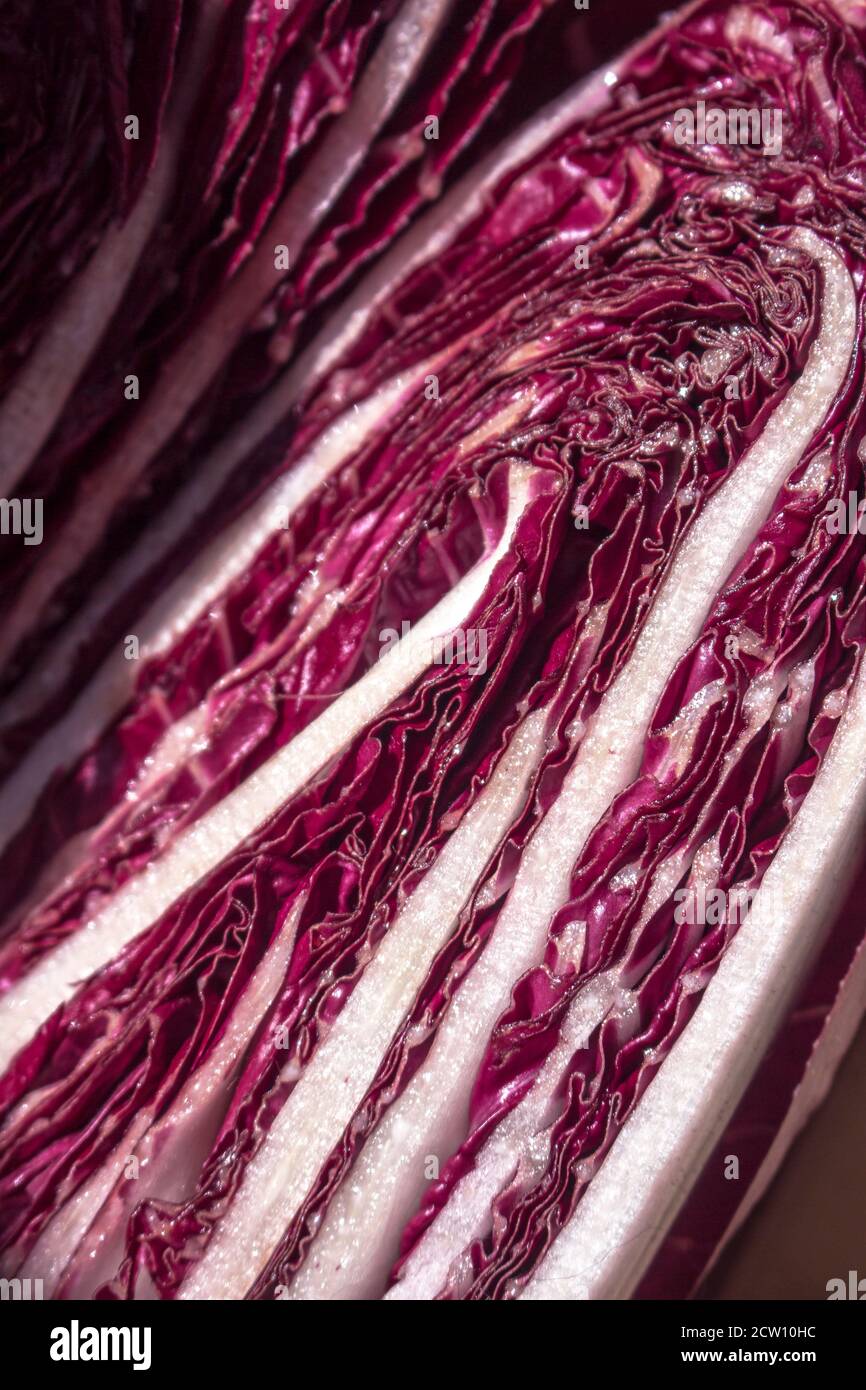 Treviso and radicchio hi-res stock photography and images - Alamy