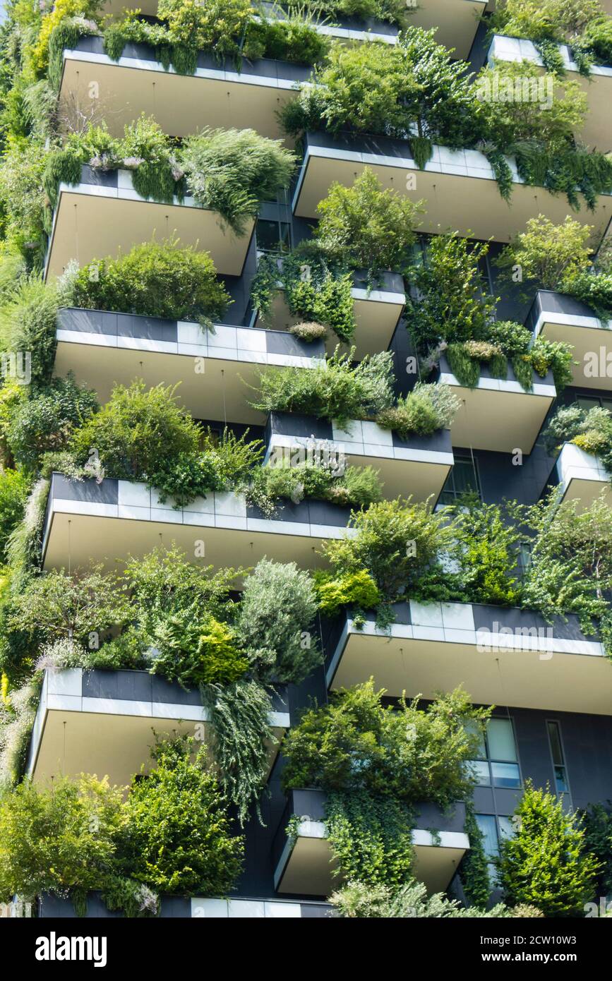 Modern, futuristic buildings named Vertical Wood in Mian Stock Photo ...
