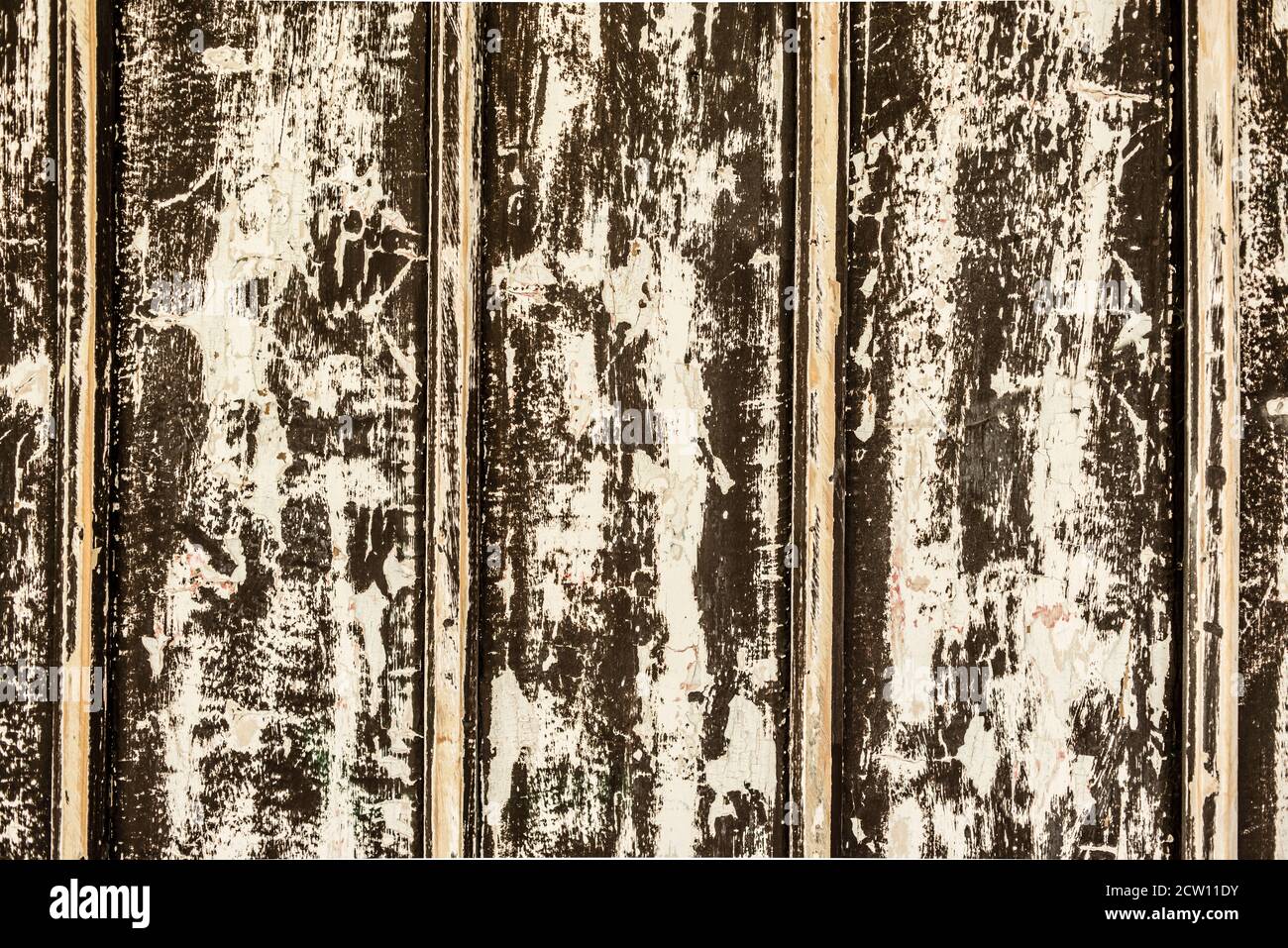 Close up of aged wood wall made of planks with chipped white paint ...