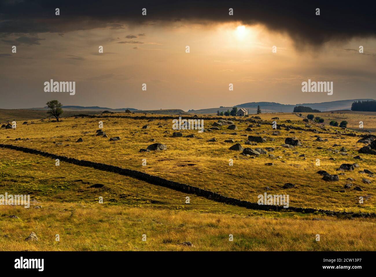 The Aubrac plateau, Aubrac, Lozere, France, Europe Stock Photo - Alamy