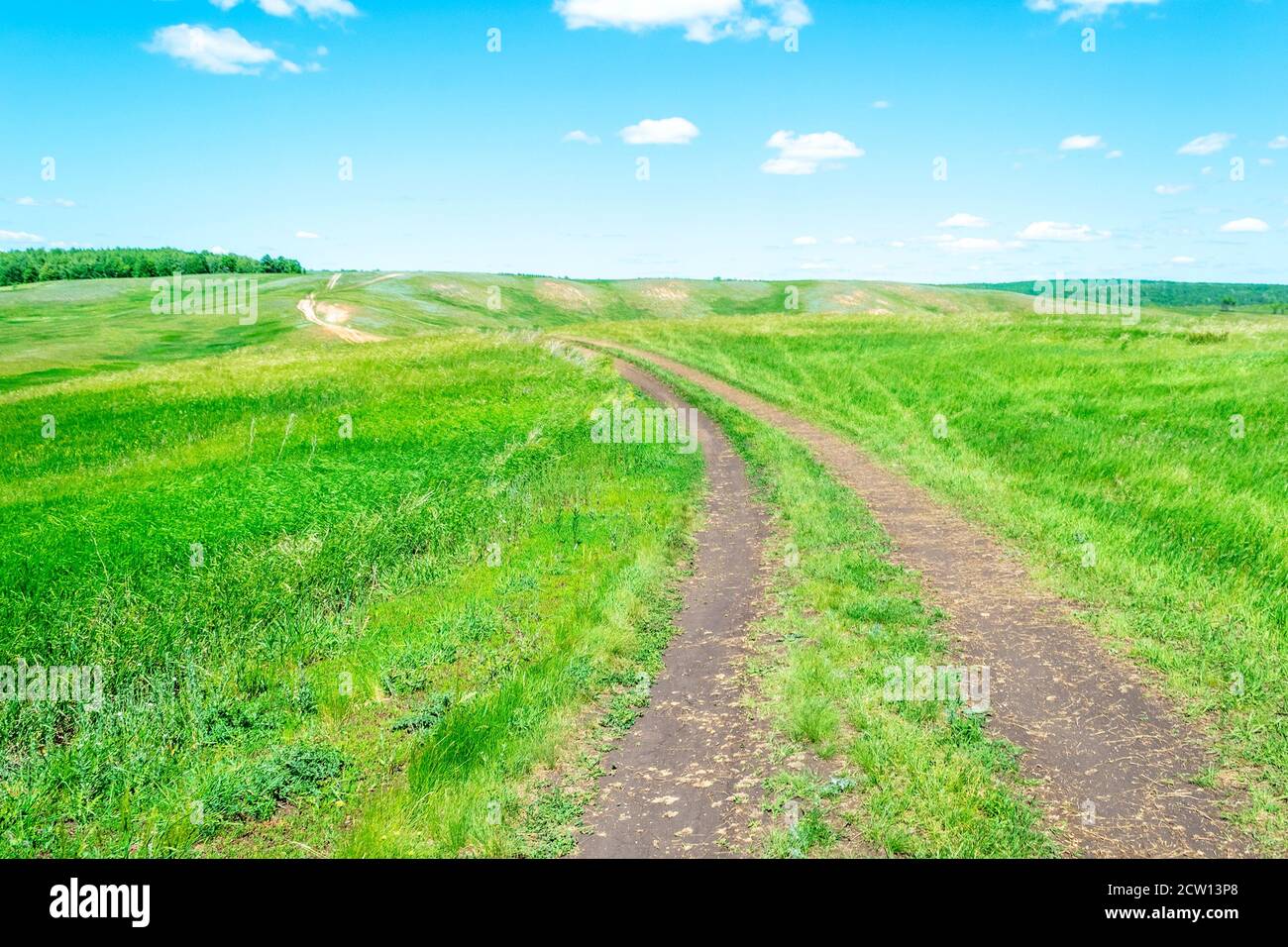 Summer outdoor green grass field with road path Stock Photo - Alamy